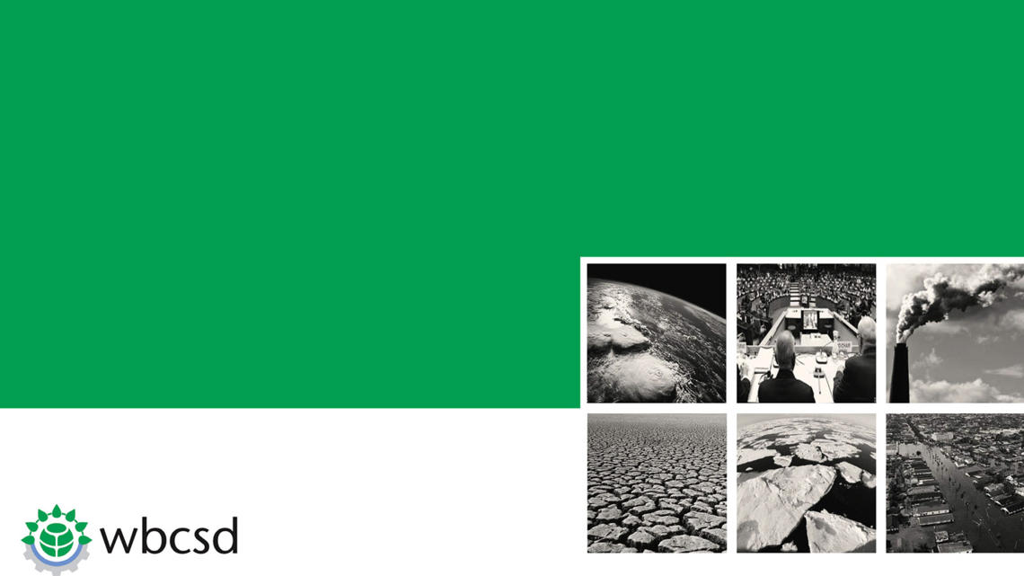 The Indonesia Business Council for Sustainable Development | The CEO ...