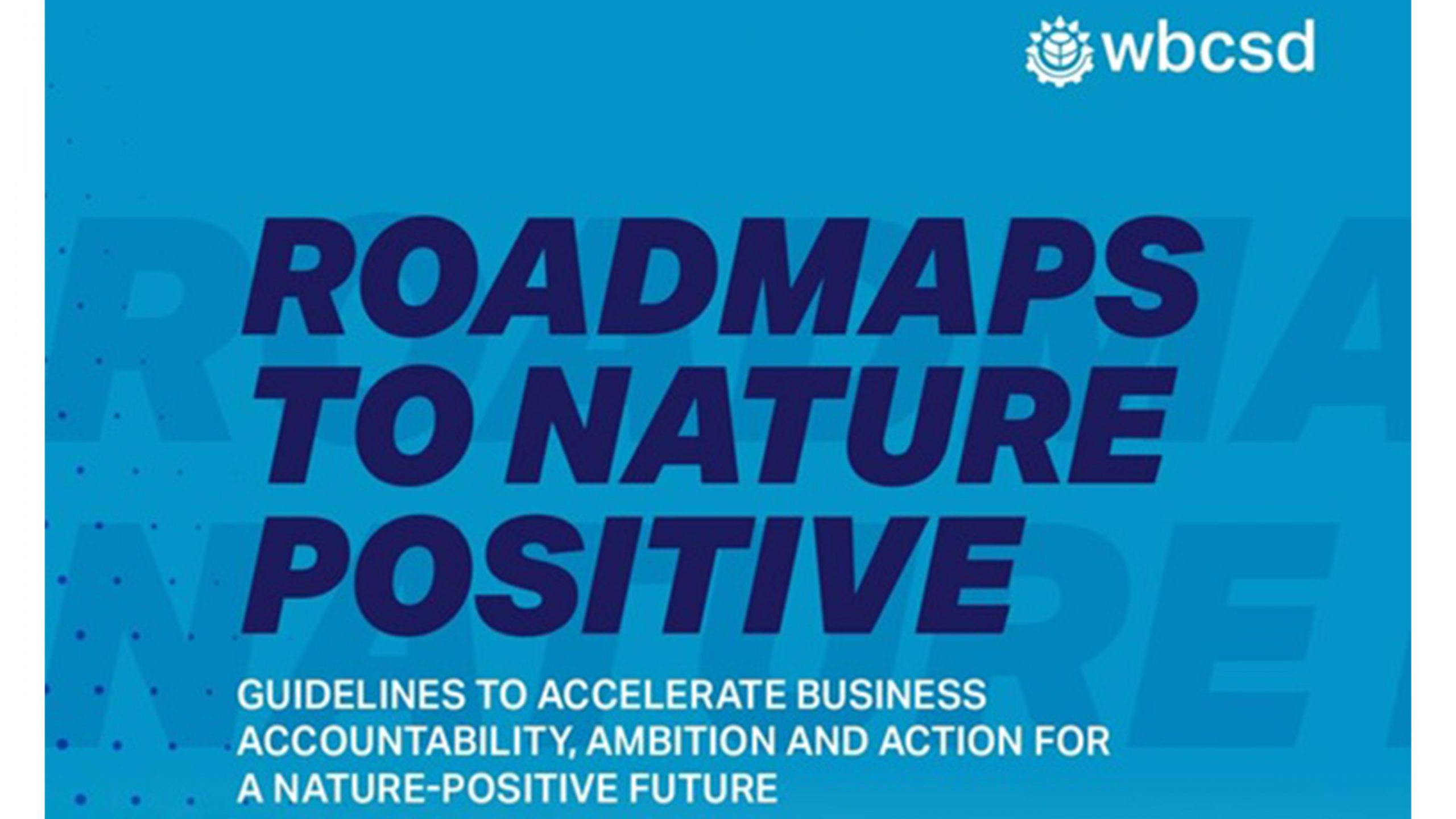 The Indonesia Business Council for Sustainable Development | Roadmaps to Nature Positive: WBCSD ...