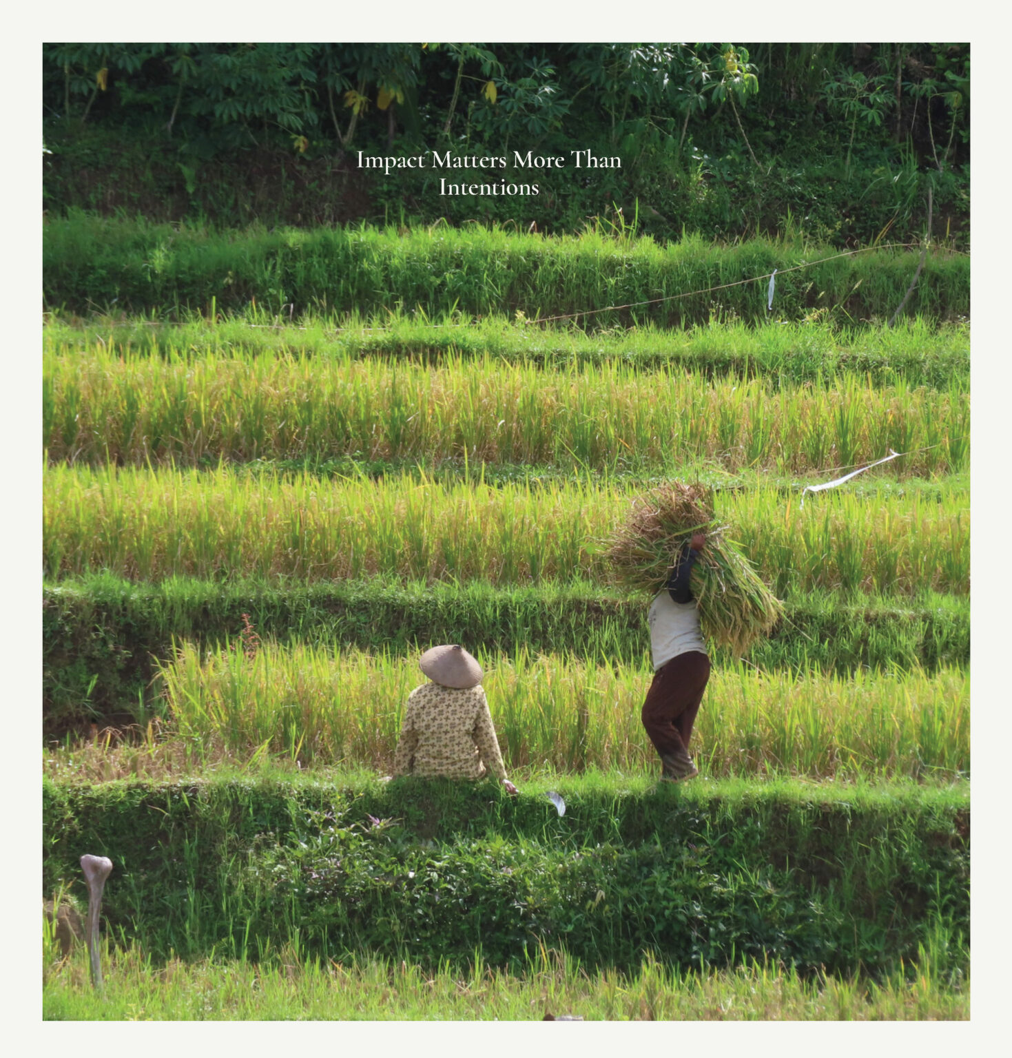 The Indonesia Business Council for Sustainable Development | Social ...